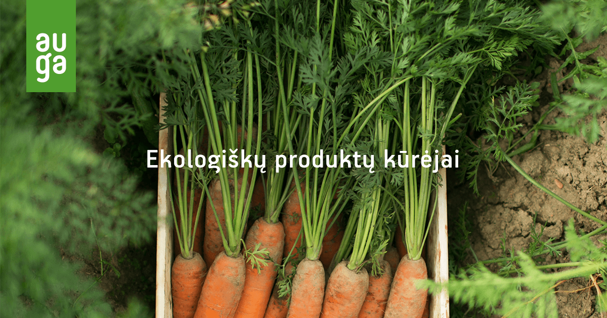 AUGA - ekologiškų produktų kūrėjai