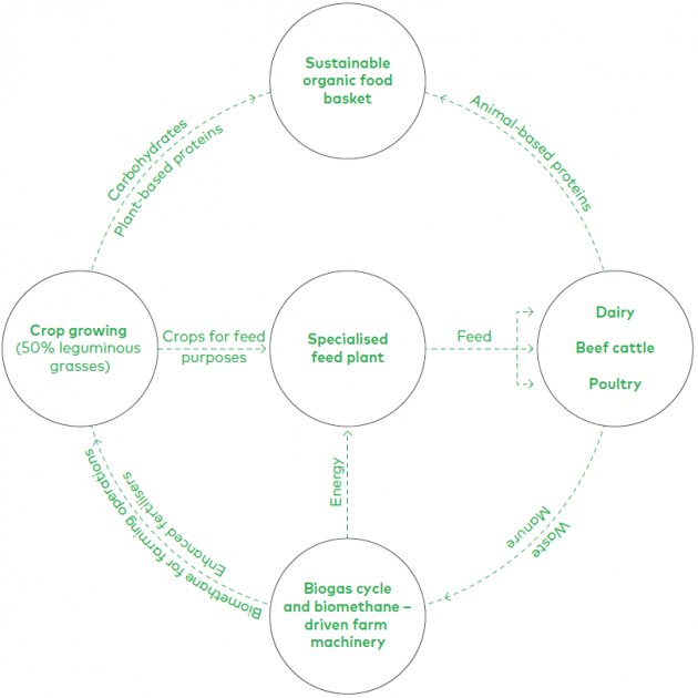 INFORMATION ABOUT AUGA - AUGA